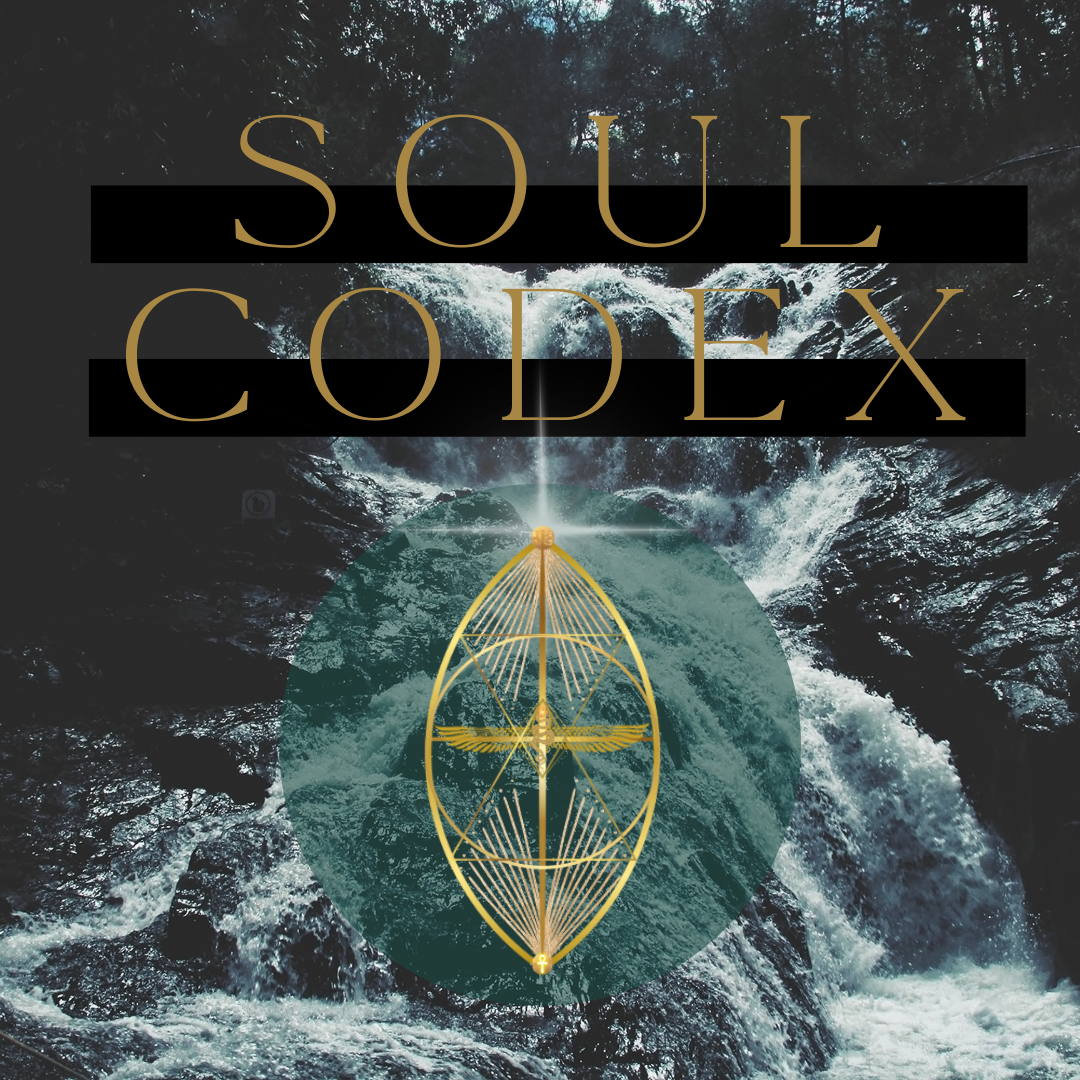 Soul Symbol or Light Code Logo deposit – Heidi Timms Wellness